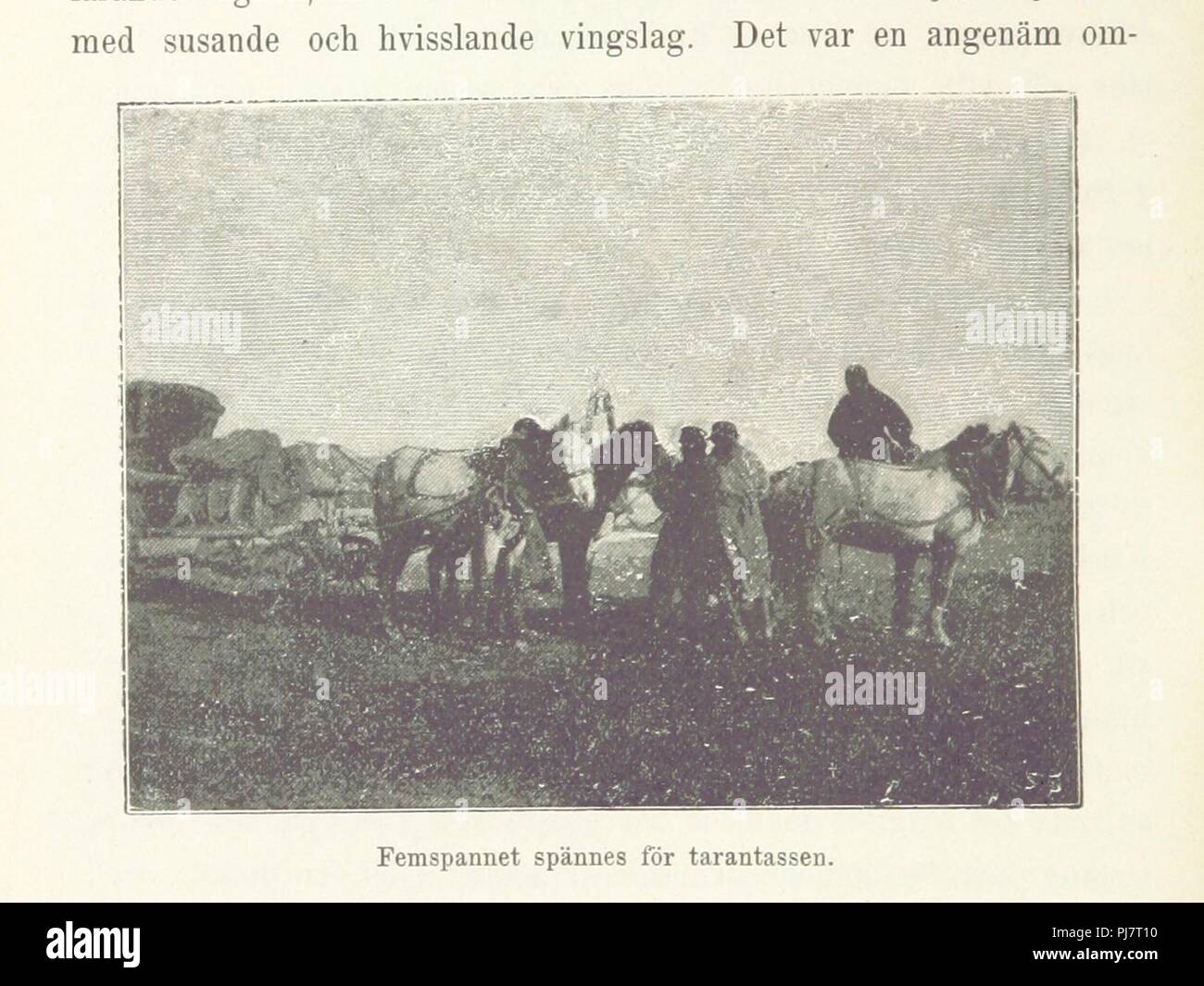 Image from page 30 of 'Genom Asiens o ̈knar. Forskningsresor och a ...
