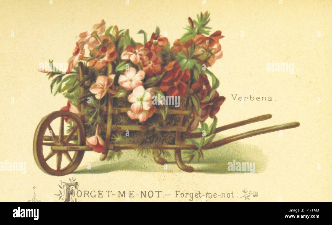 Artistic language flowers illustrations image hi-res stock photography ...