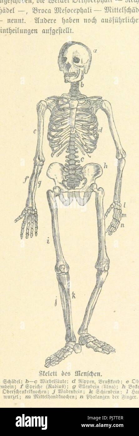 Mensch sein mensch sein hi-res stock photography and images - Alamy