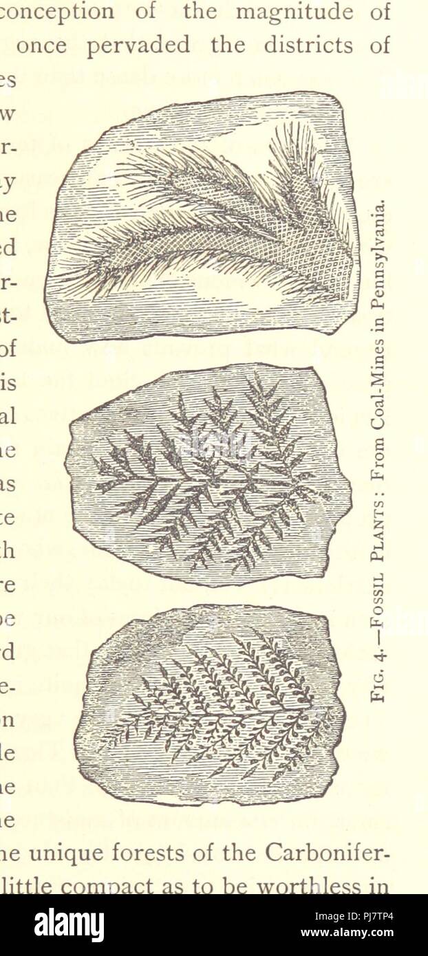 Drawing Natural Resources High Resolution Stock Photography and Images ...