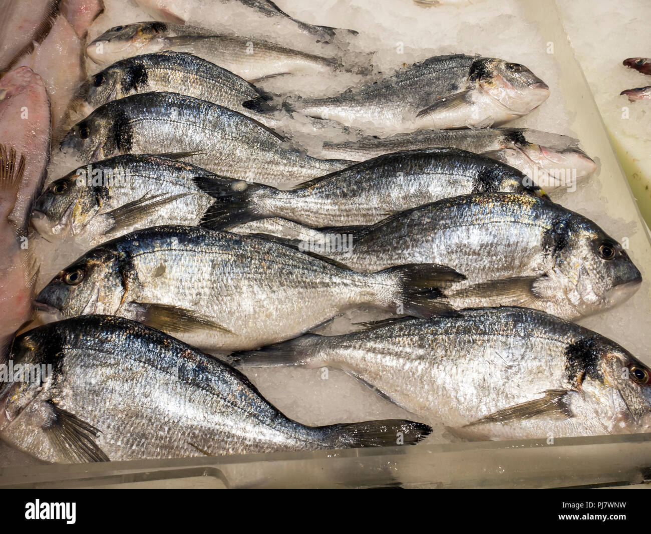 Pescaderia hi-res stock photography and images - Alamy
