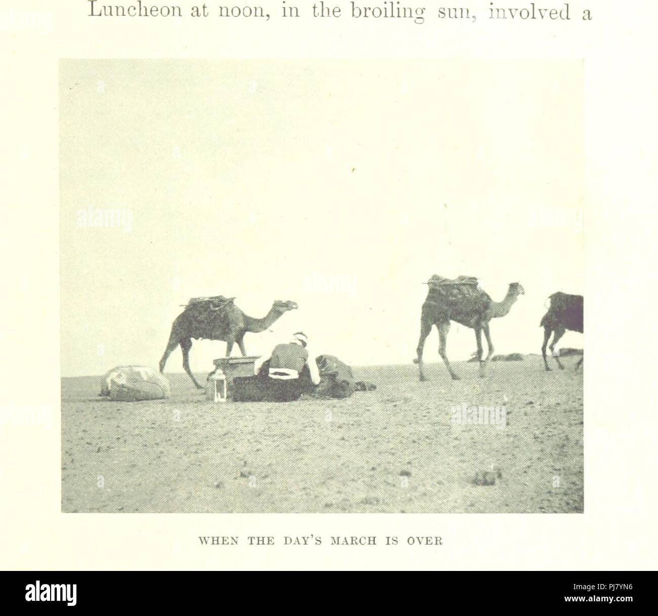 Oracle of ammon hi-res stock photography and images - Alamy