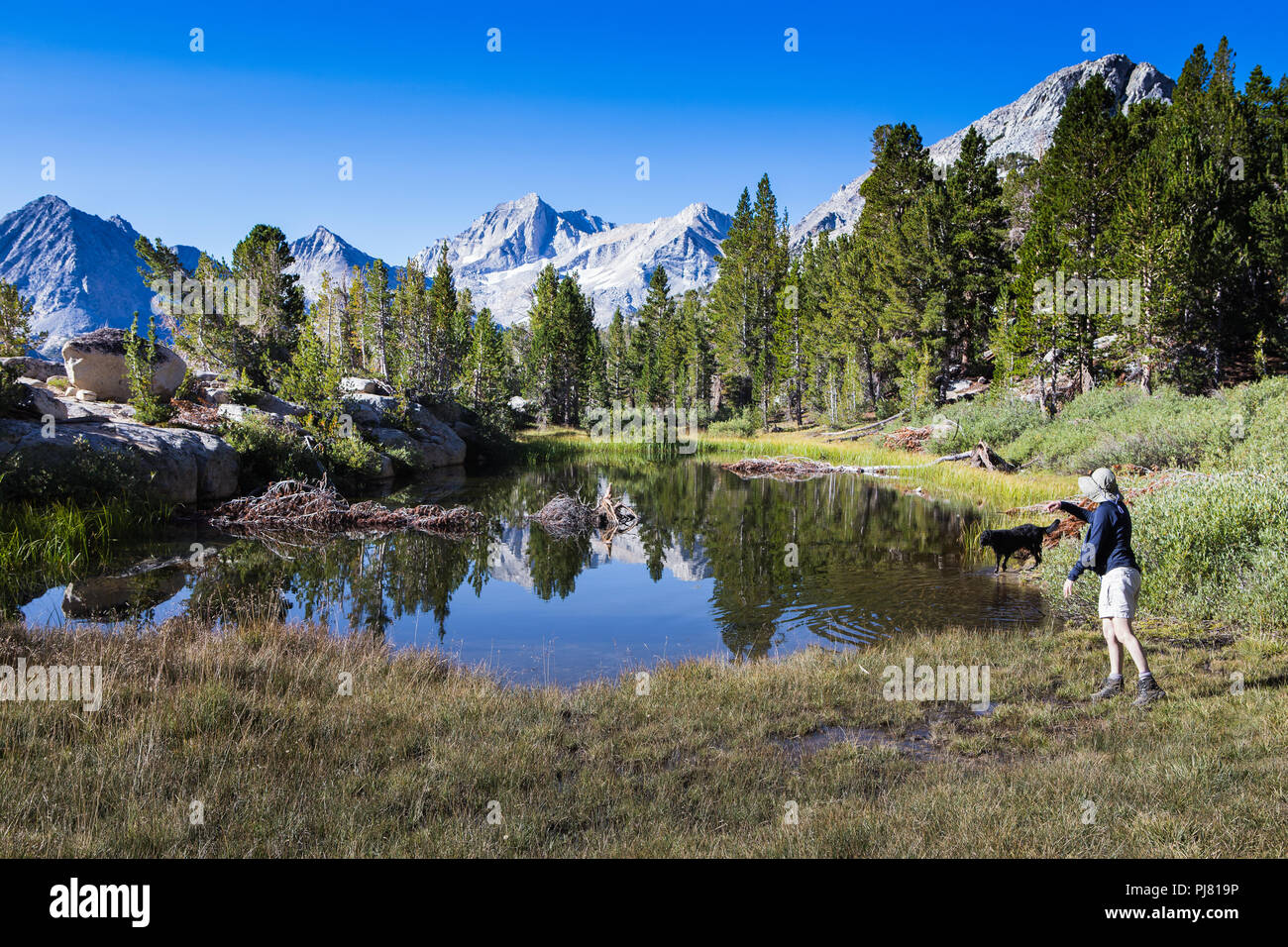 A woman throws her dog a stick into a mountain lake that reflects the ...