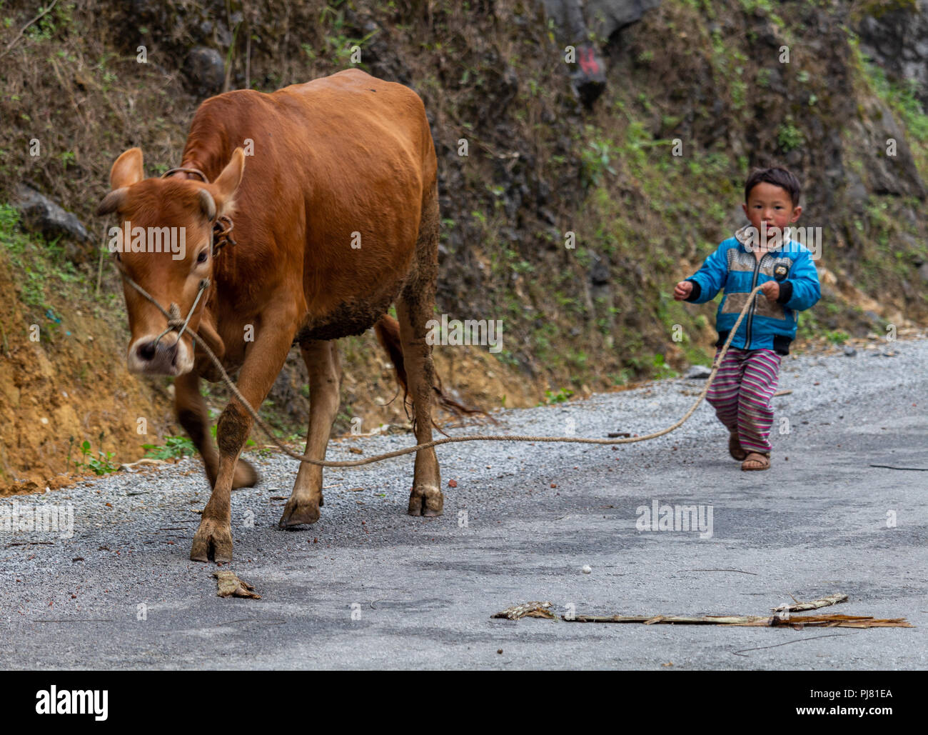 Ha Giang, Vietnam - March 18, 2018: Hmong ethnic minority child walking ...