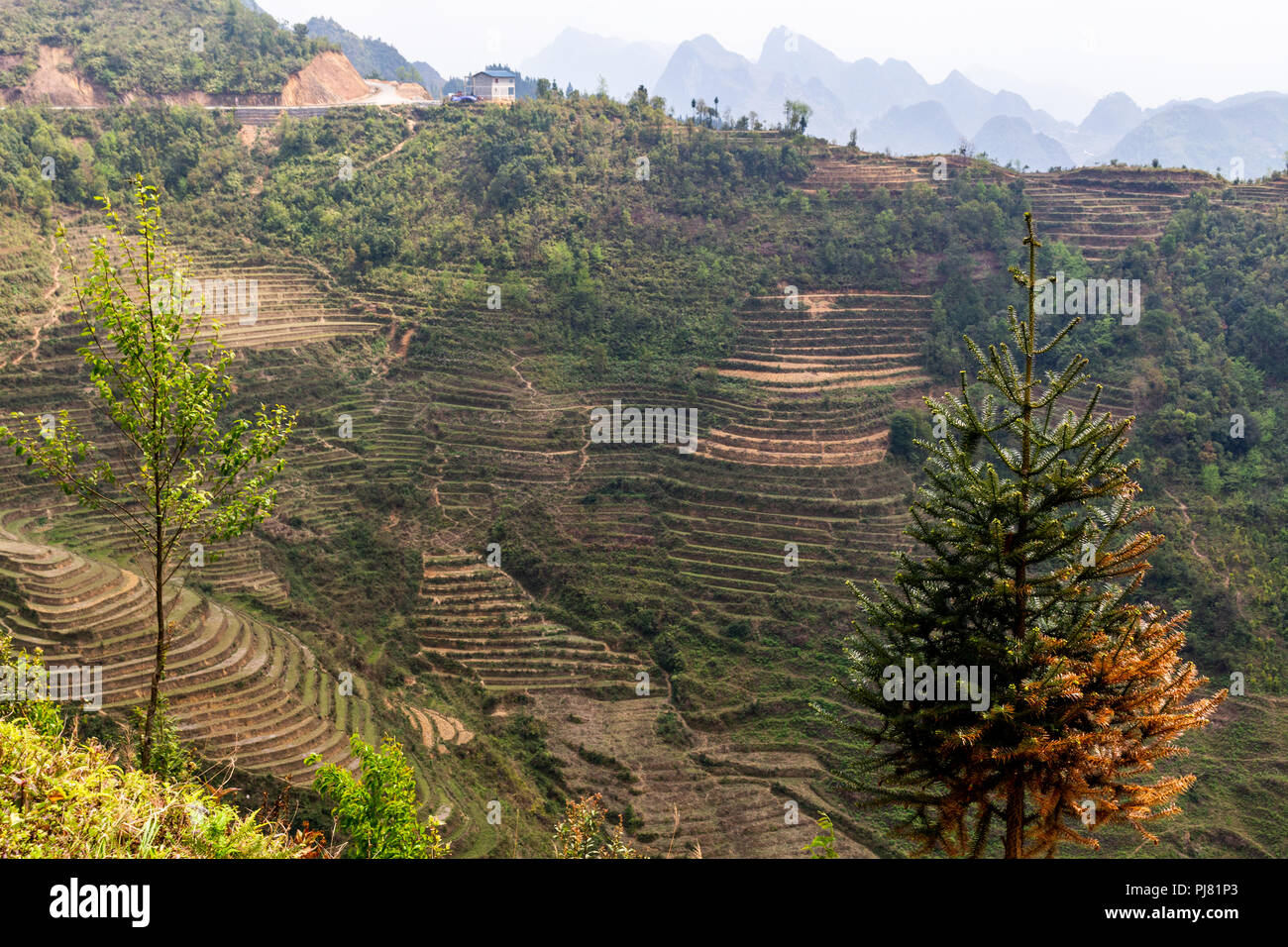 Ha Giang, Vietnam - March 18, 2018: Scenic rice terraces in the ...