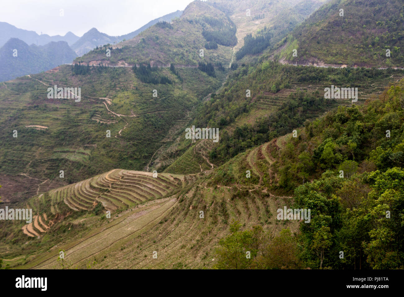 Ha Giang, Vietnam - March 18, 2018: Scenic rice terraces surrounded by ...