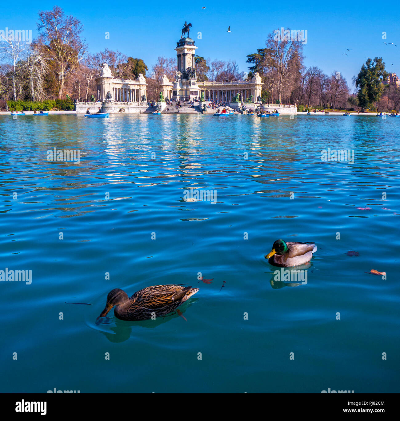 Estanque del Parque de El Retiro. Madrid. España Stock Photo - Alamy