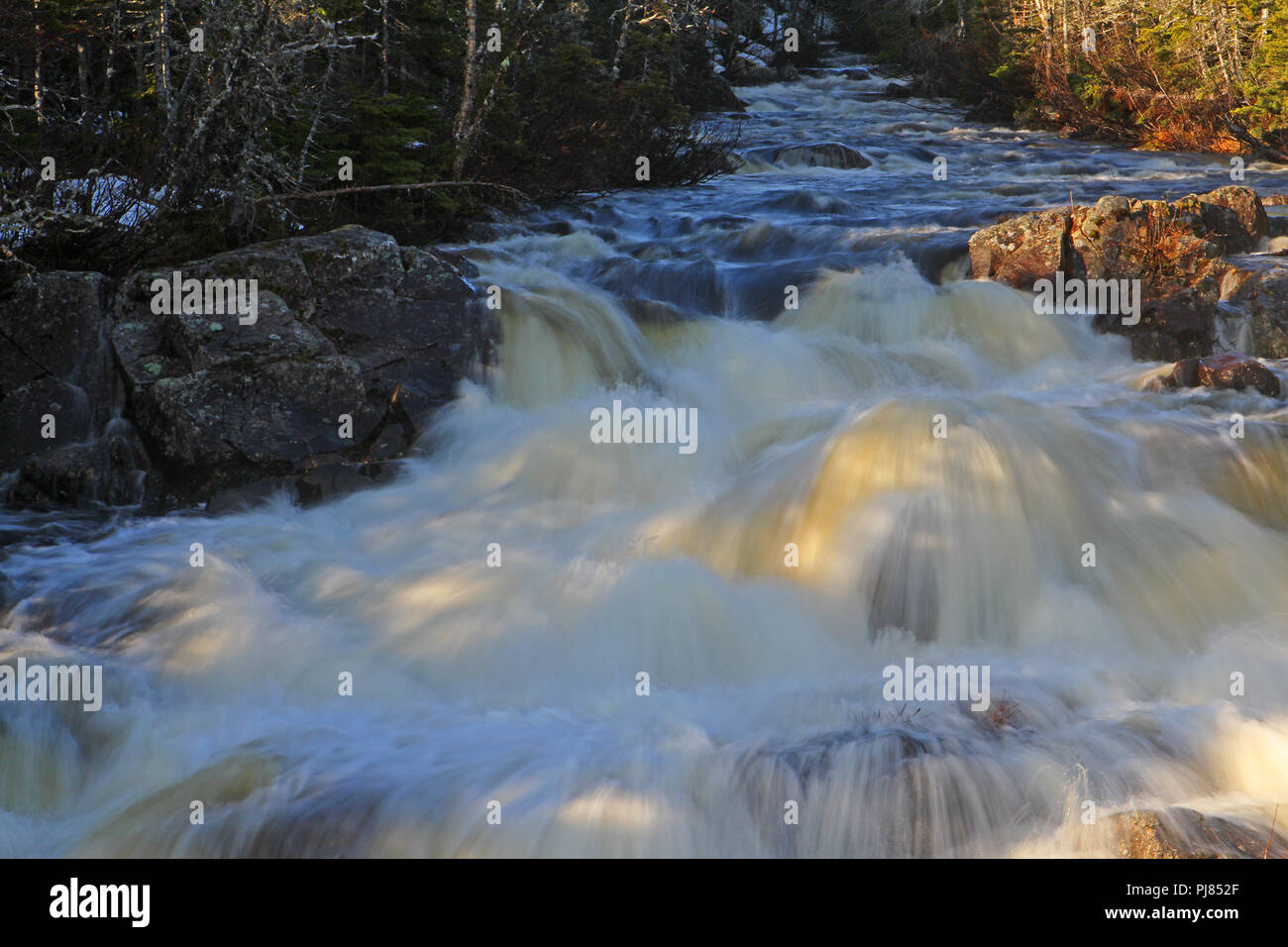 River in St. Anthony Bight, Newfoundland, Canada Stock Photo - Alamy