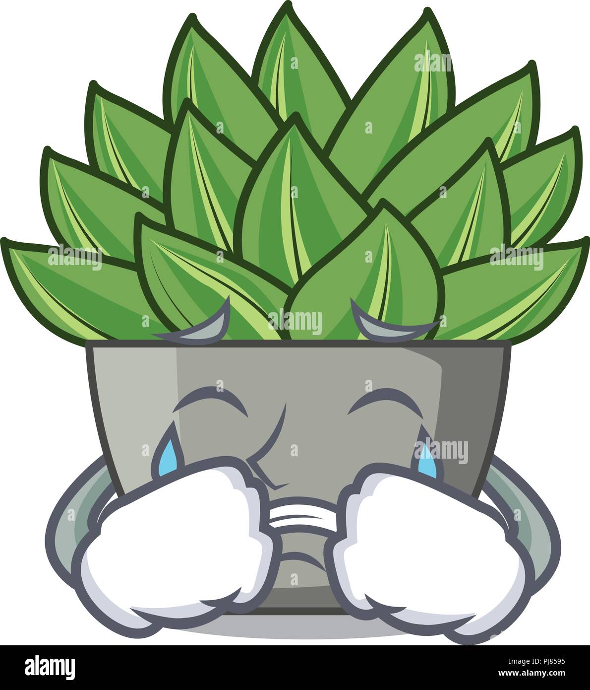Cactus crying hi-res stock photography and images - Alamy