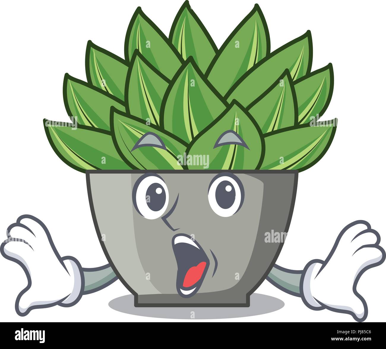 Surprised cartoon echeveria cactus plant at winter Stock Vector Image ...