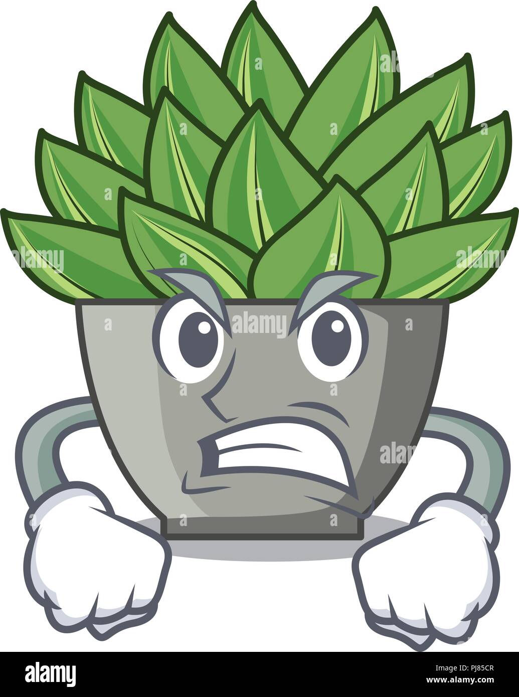 Angry cartoon echeveria cactus plant at winter Stock Vector Image & Art ...