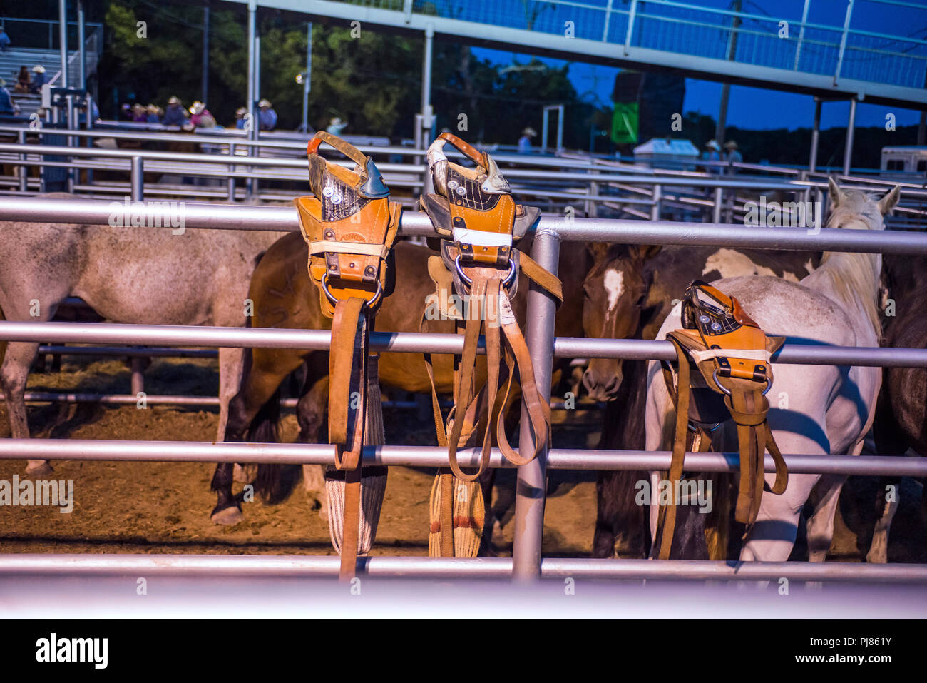 Rodeo stadium hi-res stock photography and images - Alamy