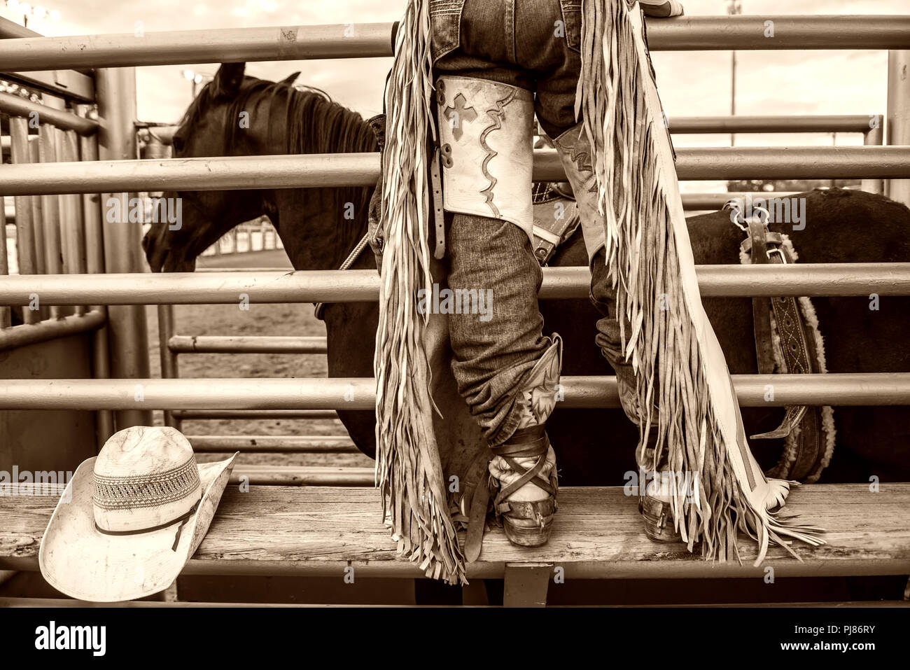 Rodeo chaps hi-res stock photography and images - Alamy