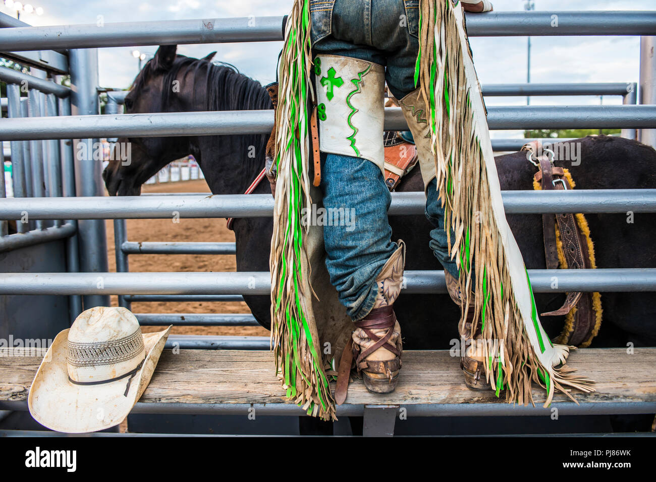 Rodeo cowboy ready to bareback ride in Texas rodeo. USA Stock Photo - Alamy