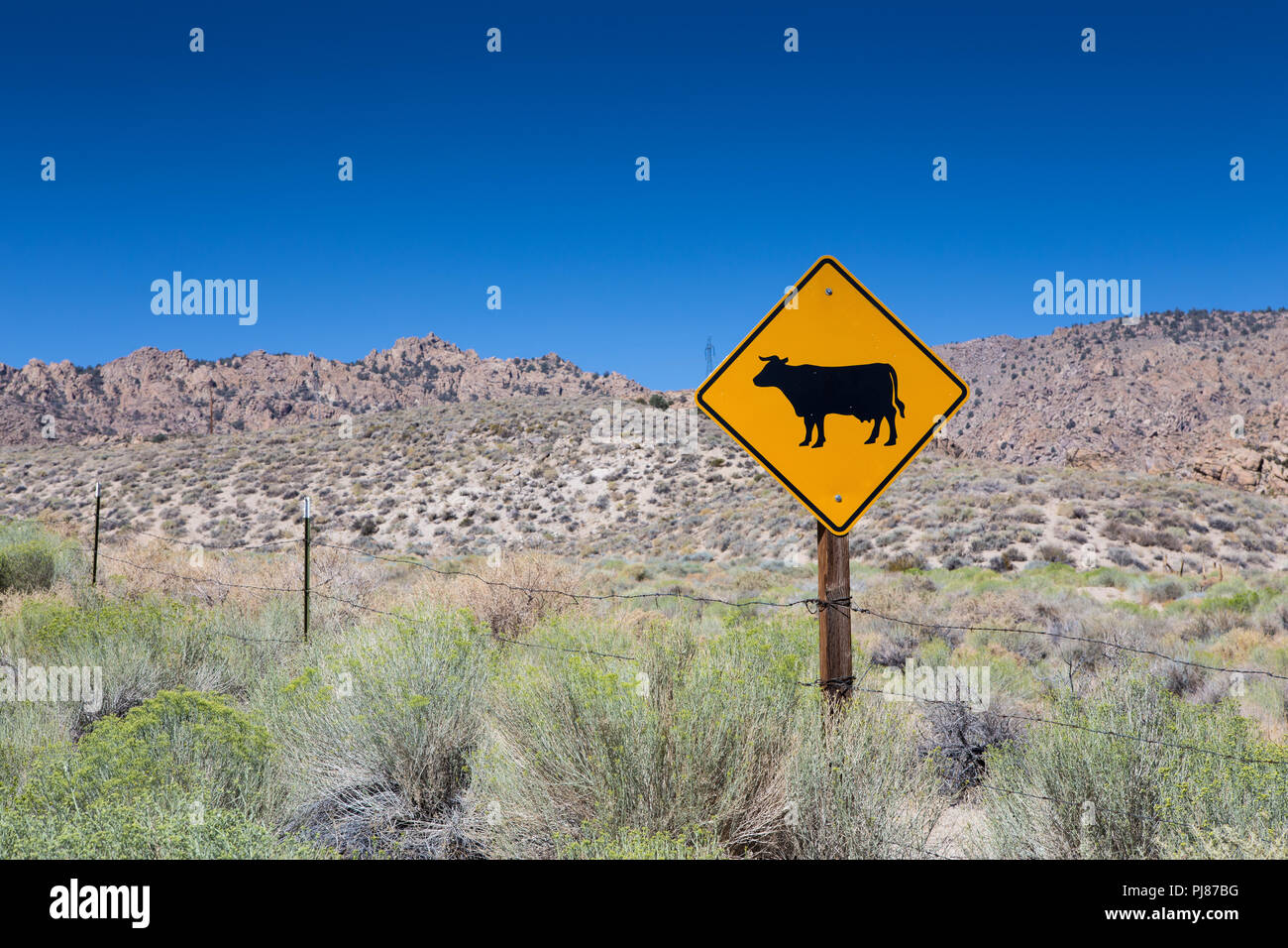 Beware Cattle Sign High Resolution Stock Photography and Images - Alamy