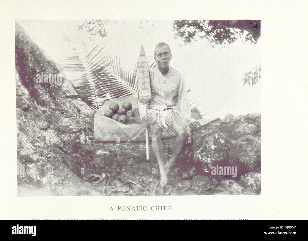 Image from page 161 of 'The Caroline Islands. Travel in the Sea of the ...