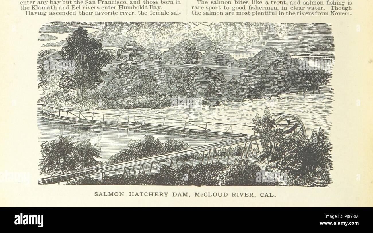 Image from page 162 of 'Pacific Bank Handbook of California' Stock ...