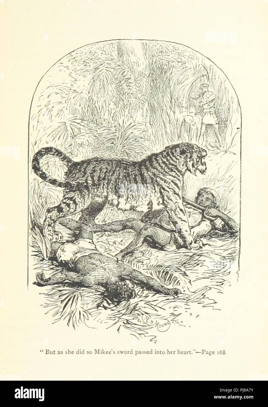Image from page 173 of '[The White Elephant; or, the Hunters of Ava and ...