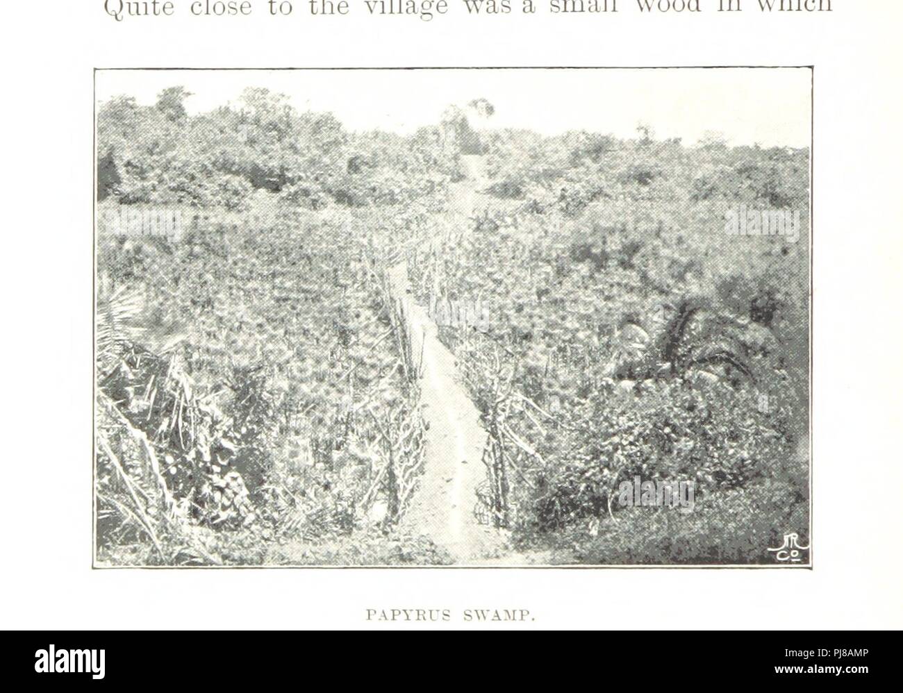 Dwarf land hi-res stock photography and images - Alamy