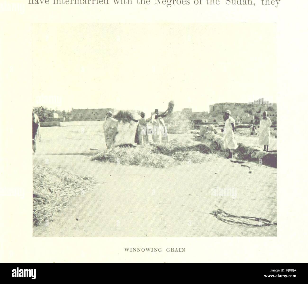 Oracle of ammon hi-res stock photography and images - Alamy