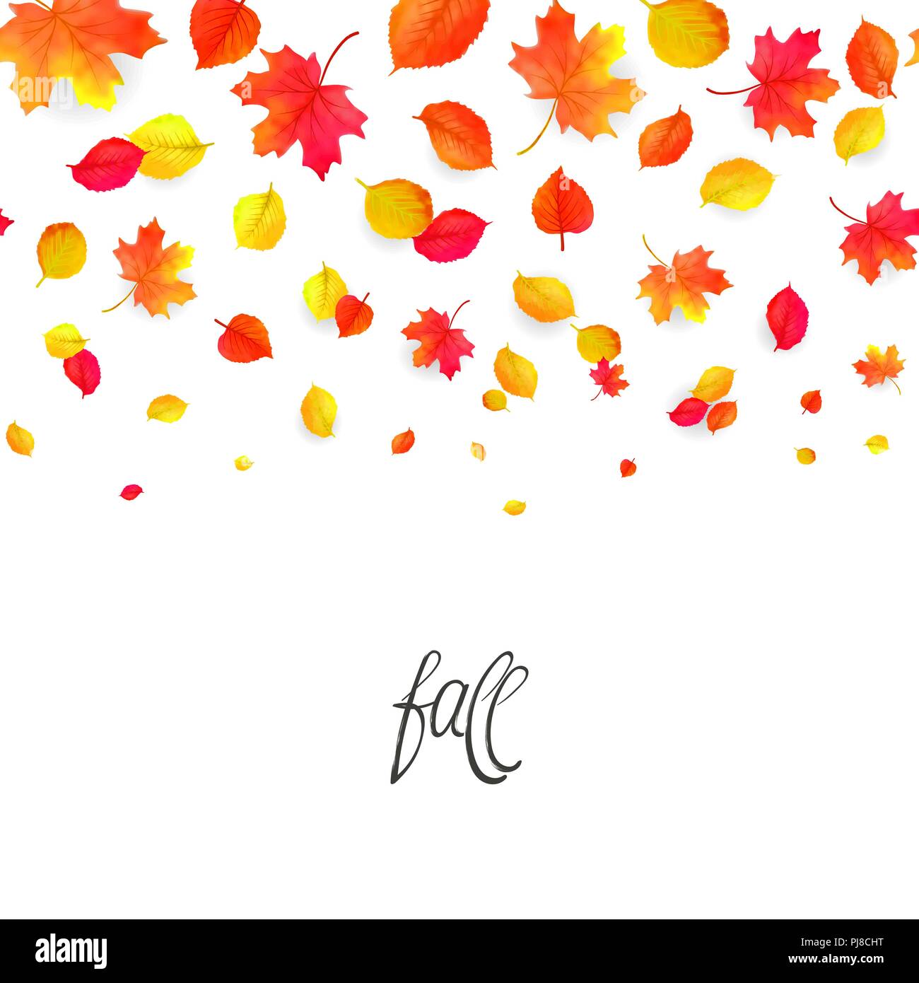 Seamless border pattern of falling autumn leaves. Vector Stock Vector ...