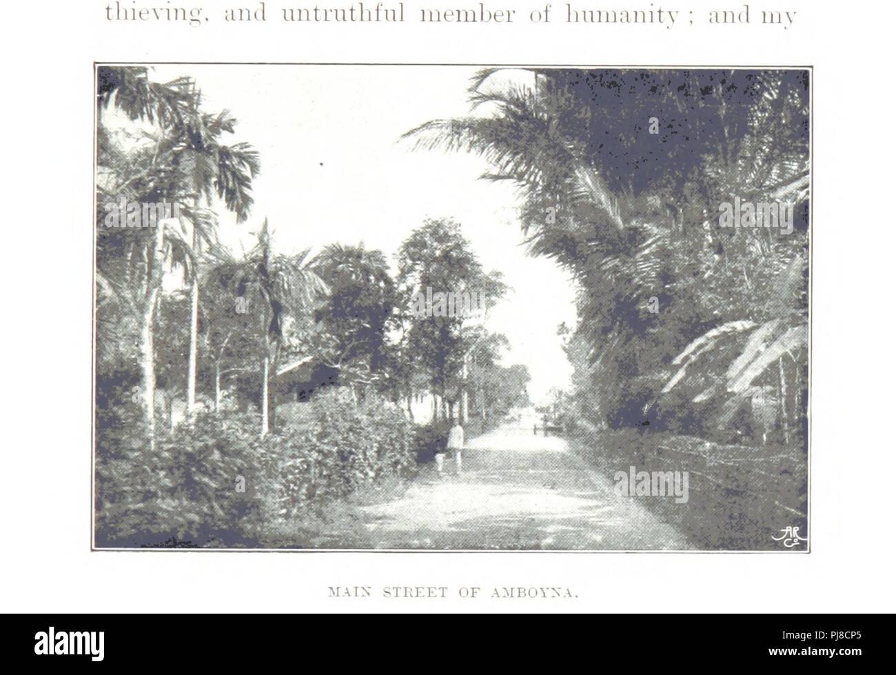Image from page 201 of 'Through New Guinea and the Cannibal Countries ...