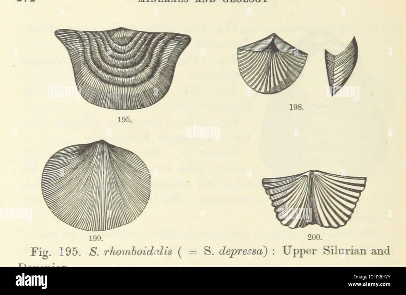 Image from page 288 of '[A Popular and Practical Exposition of the ...