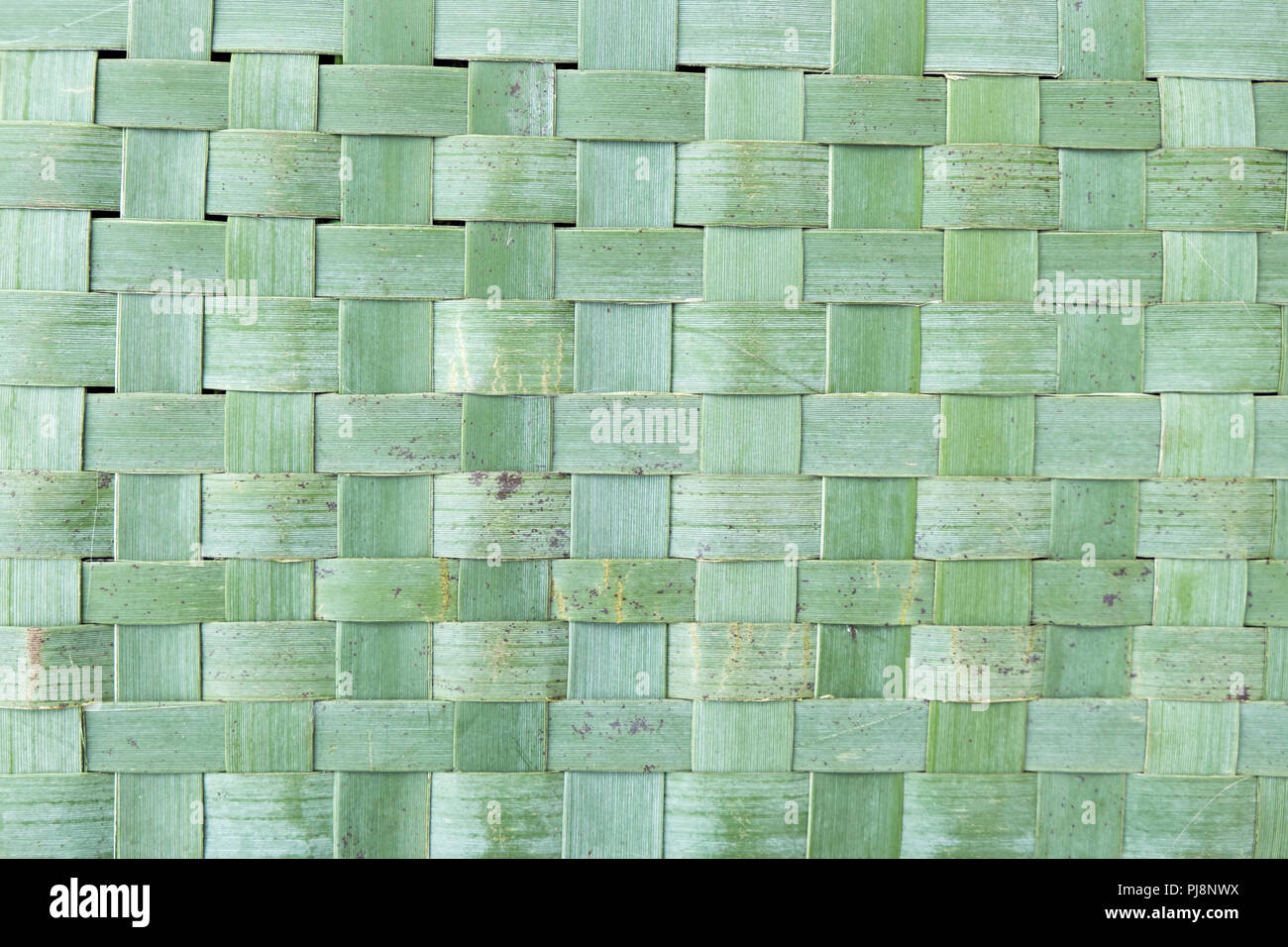 Harakeke hi-res stock photography and images - Alamy