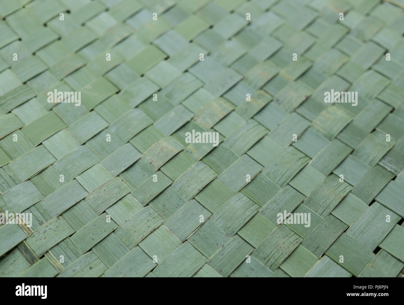 Harakeke hi-res stock photography and images - Alamy