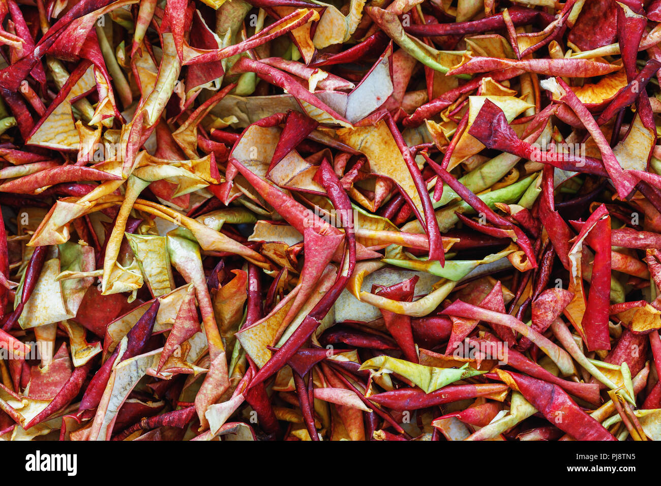 Natural fruit drying process hi-res stock photography and images - Alamy
