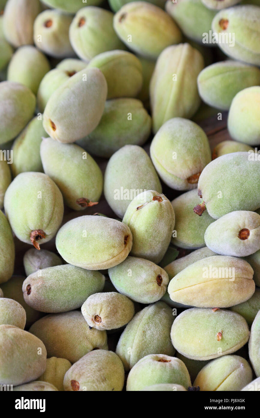 Almonds in their shell Stock Photo - Alamy