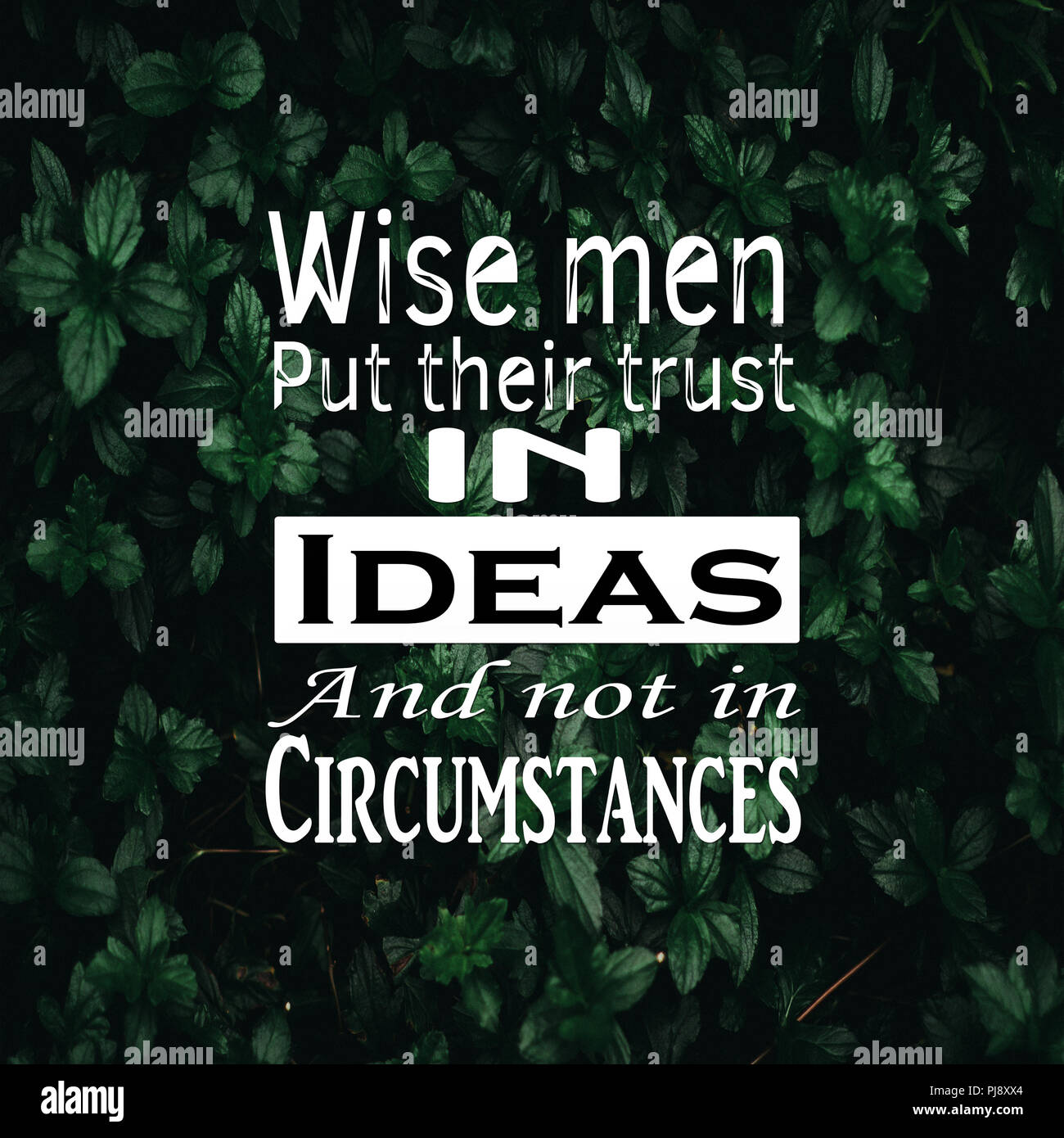Wise quotes hi-res stock photography and images - Alamy