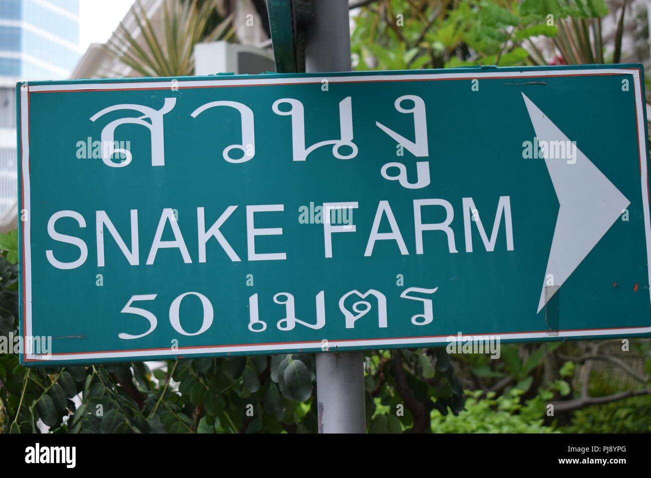 Bangkok snake farm hi-res stock photography and images - Alamy