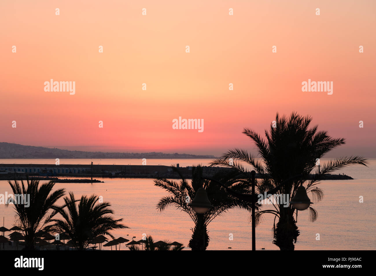 Good morning palm trees Yasmine Hammamet, Tunisia, Africa Stock Photo ...