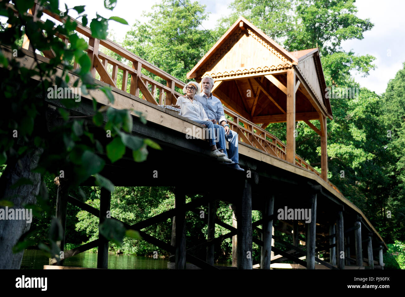 Retired wife and husband sitting near summer house standing on bridge ...