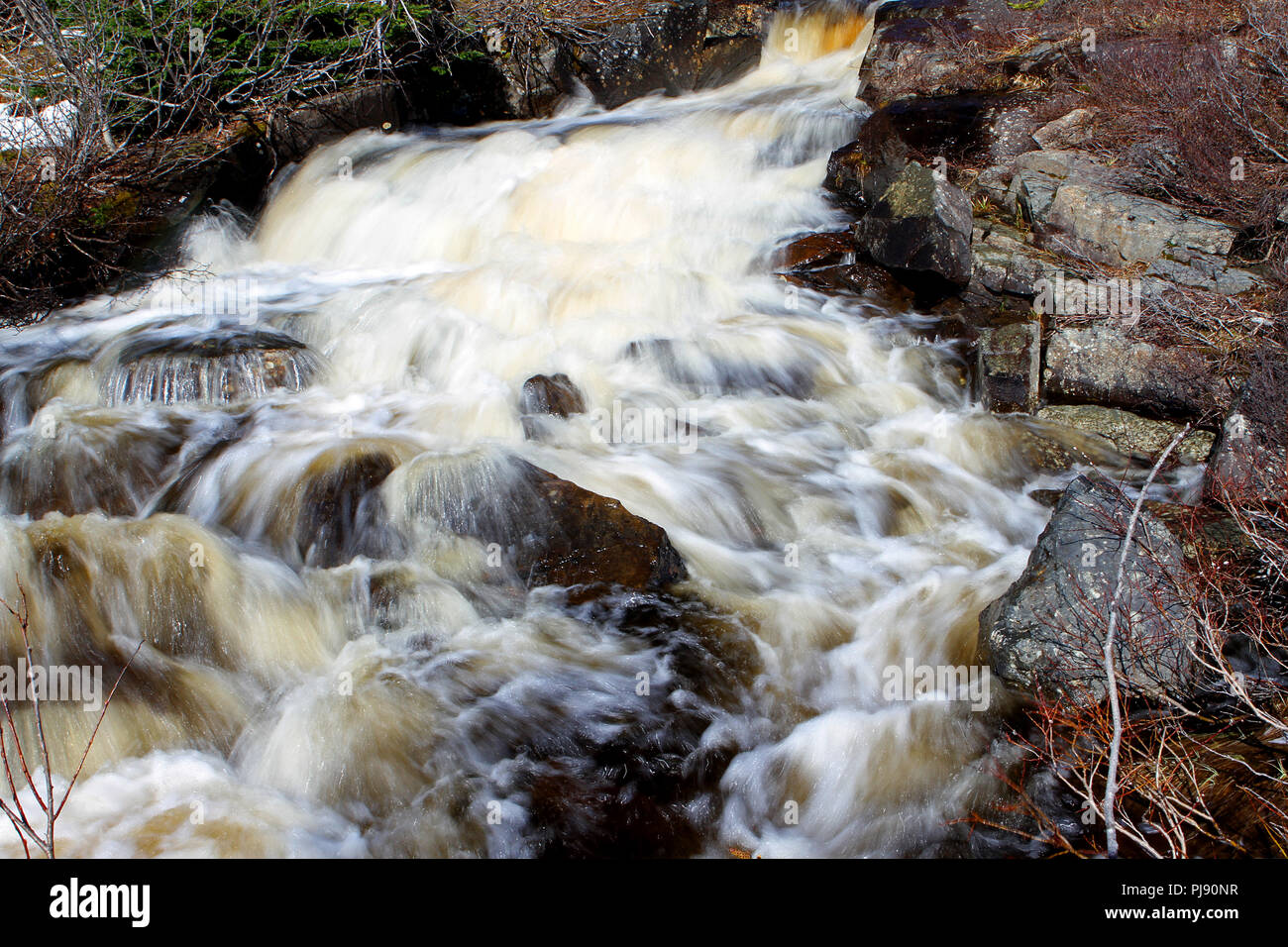 St anthony newfoundland canada hi-res stock photography and images - Alamy
