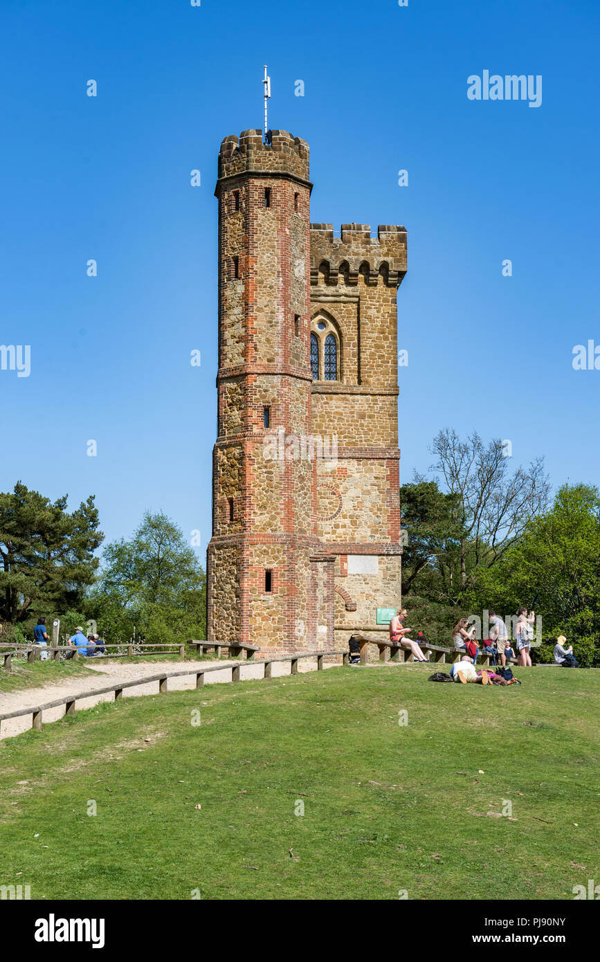 Leith hill tree hi-res stock photography and images - Alamy