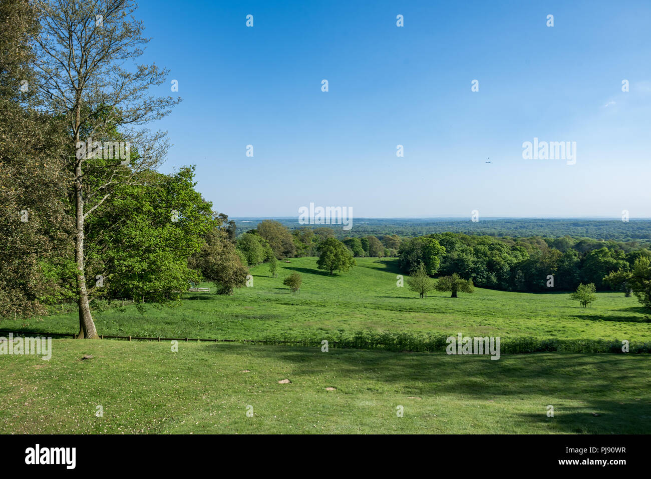 Leith Hill, Surrey Stock Photo - Alamy