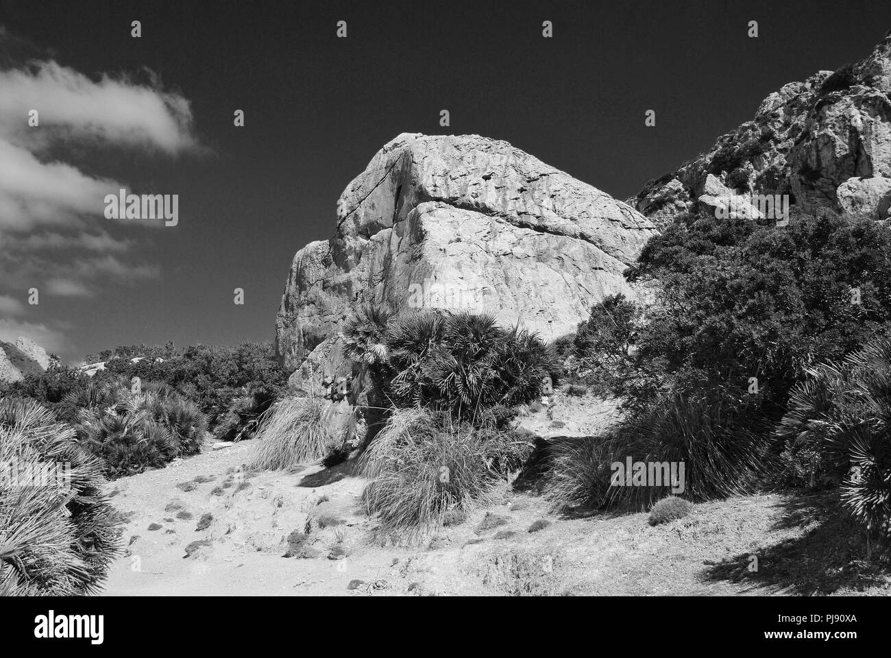 Island mallorca black and white hi-res stock photography and images - Alamy