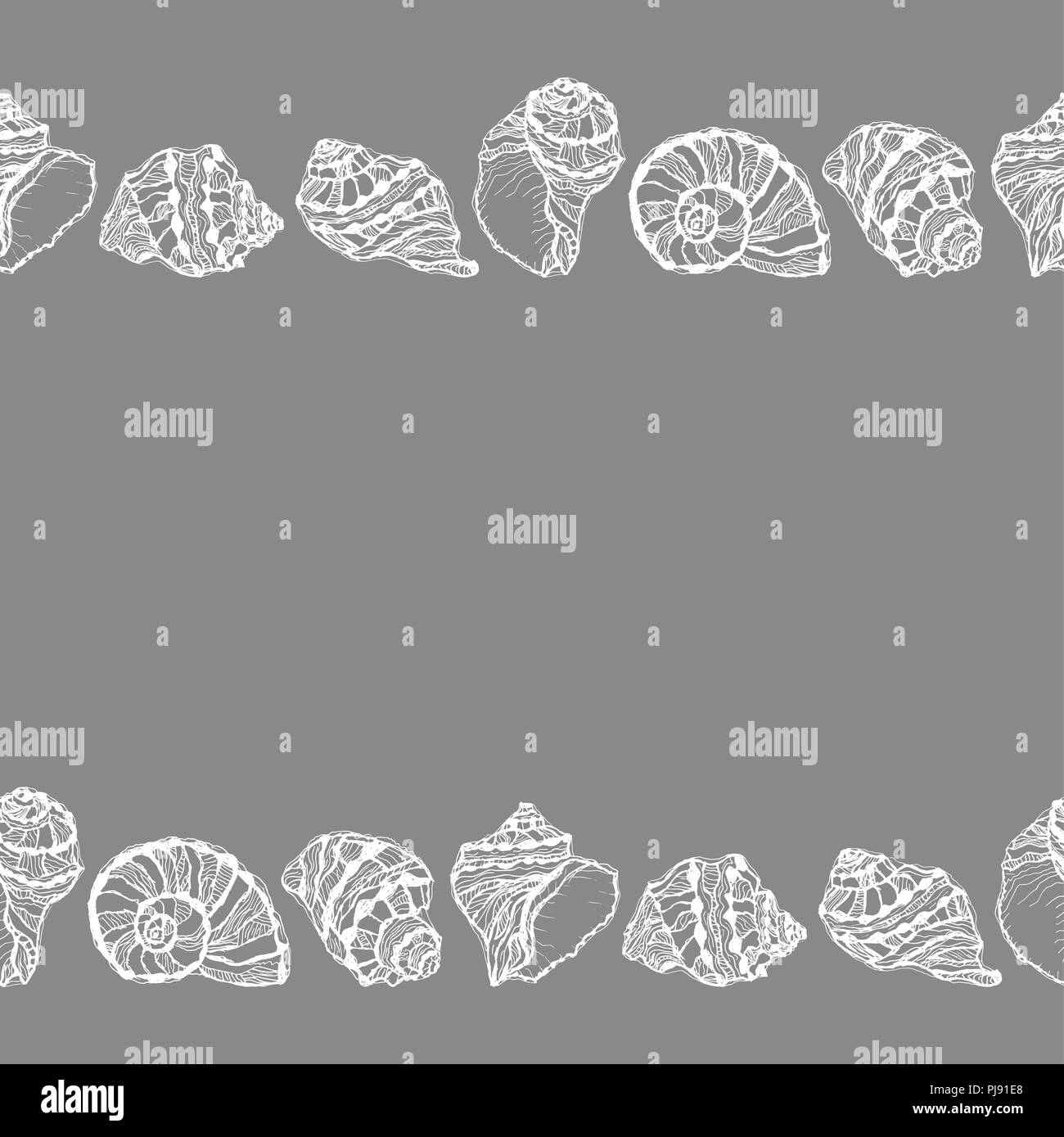 Vector seamless decorative border from white seashell on gray ...