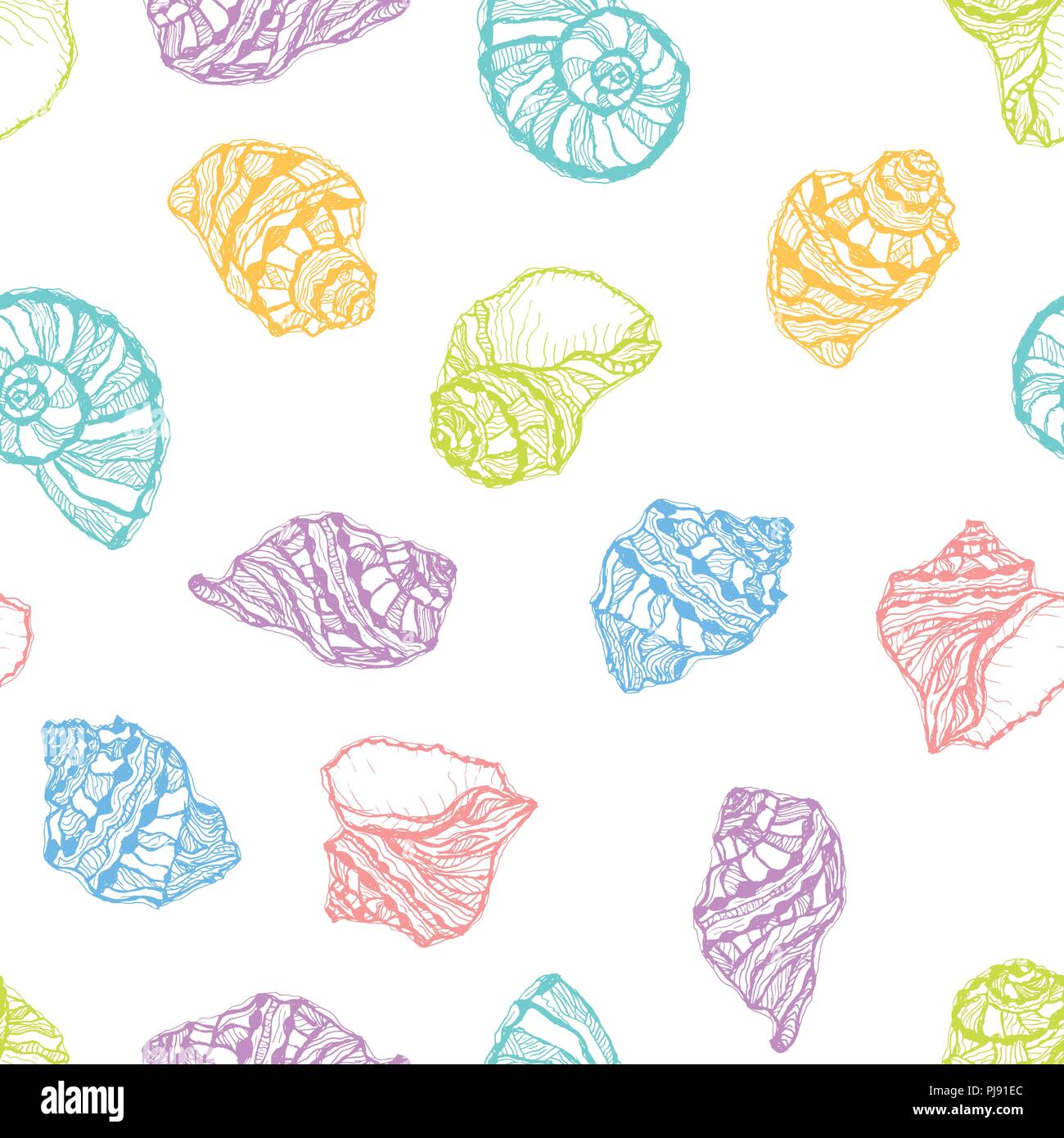 Vector seamless pattern from colorful seashell on white background ...