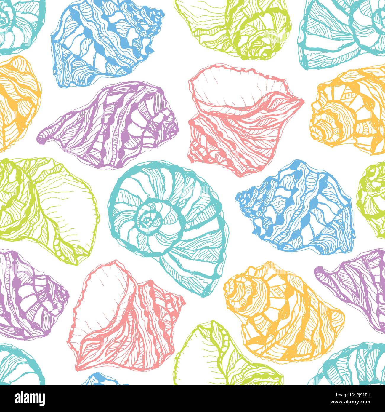 Vector seamless pattern from colorful seashell on white background ...