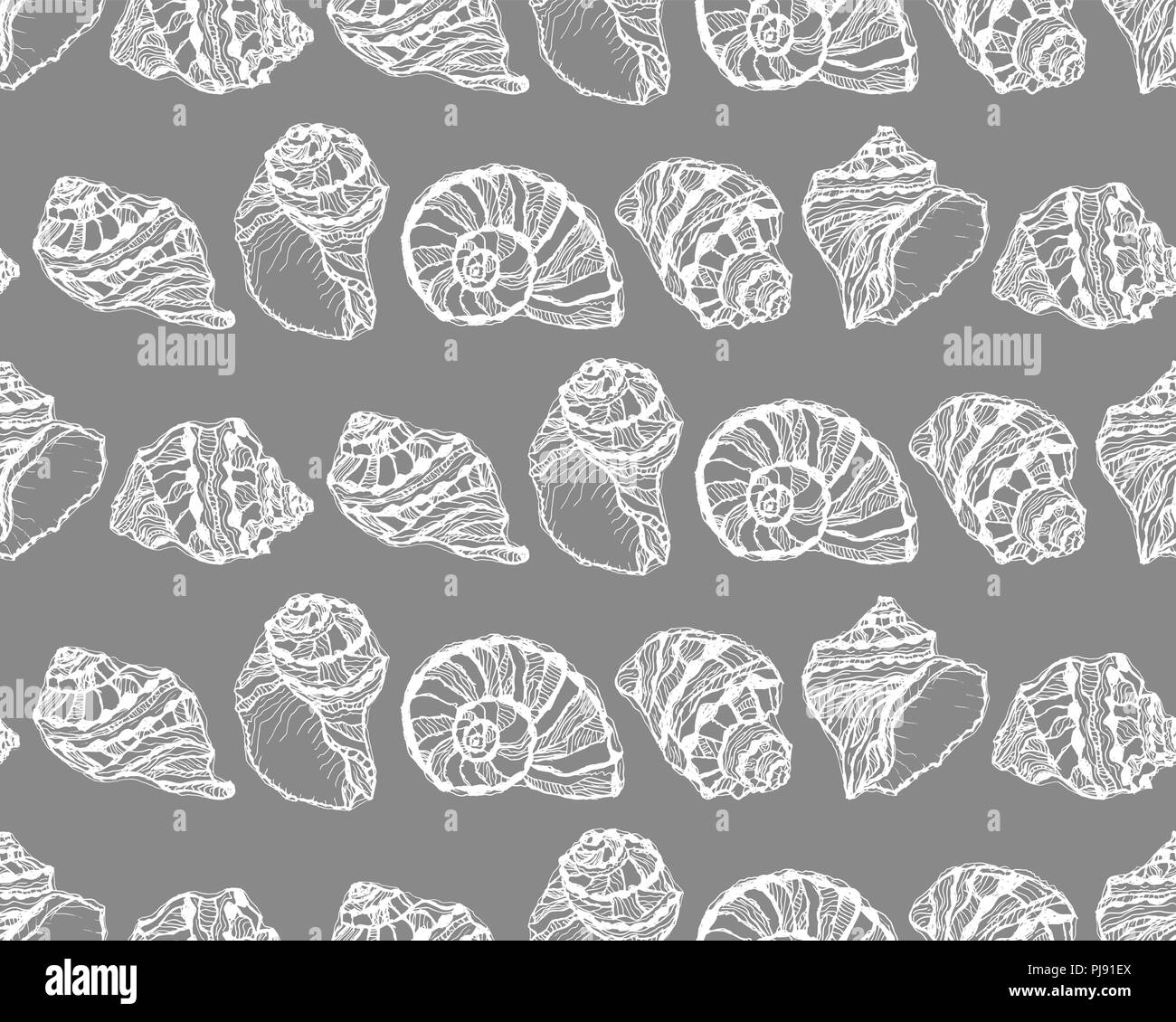Vector seamless pattern from white seashell on gray background. Hand ...