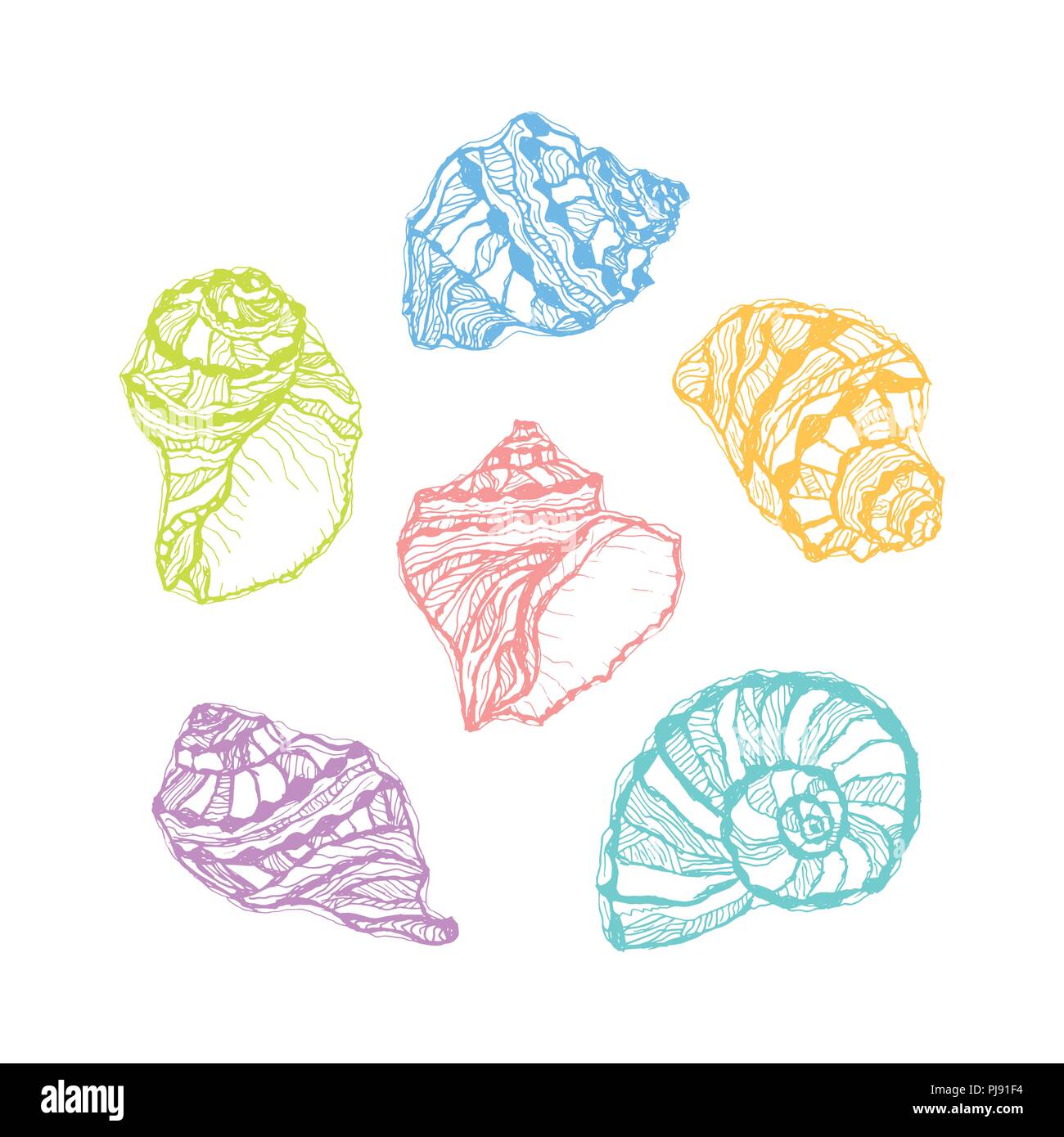 Vector colorful seashell set. Hand drawn illustration of sketches ...