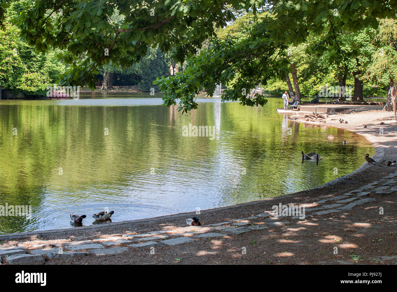 Beautiful park scene in the Volksgarten Park in Cologne, Germany Stock ...