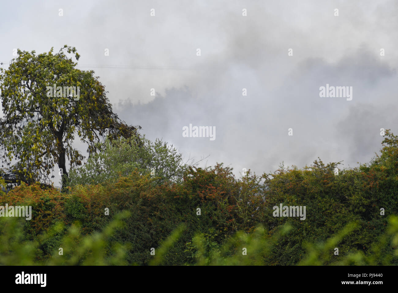 smoke from large fire Stock Photo - Alamy
