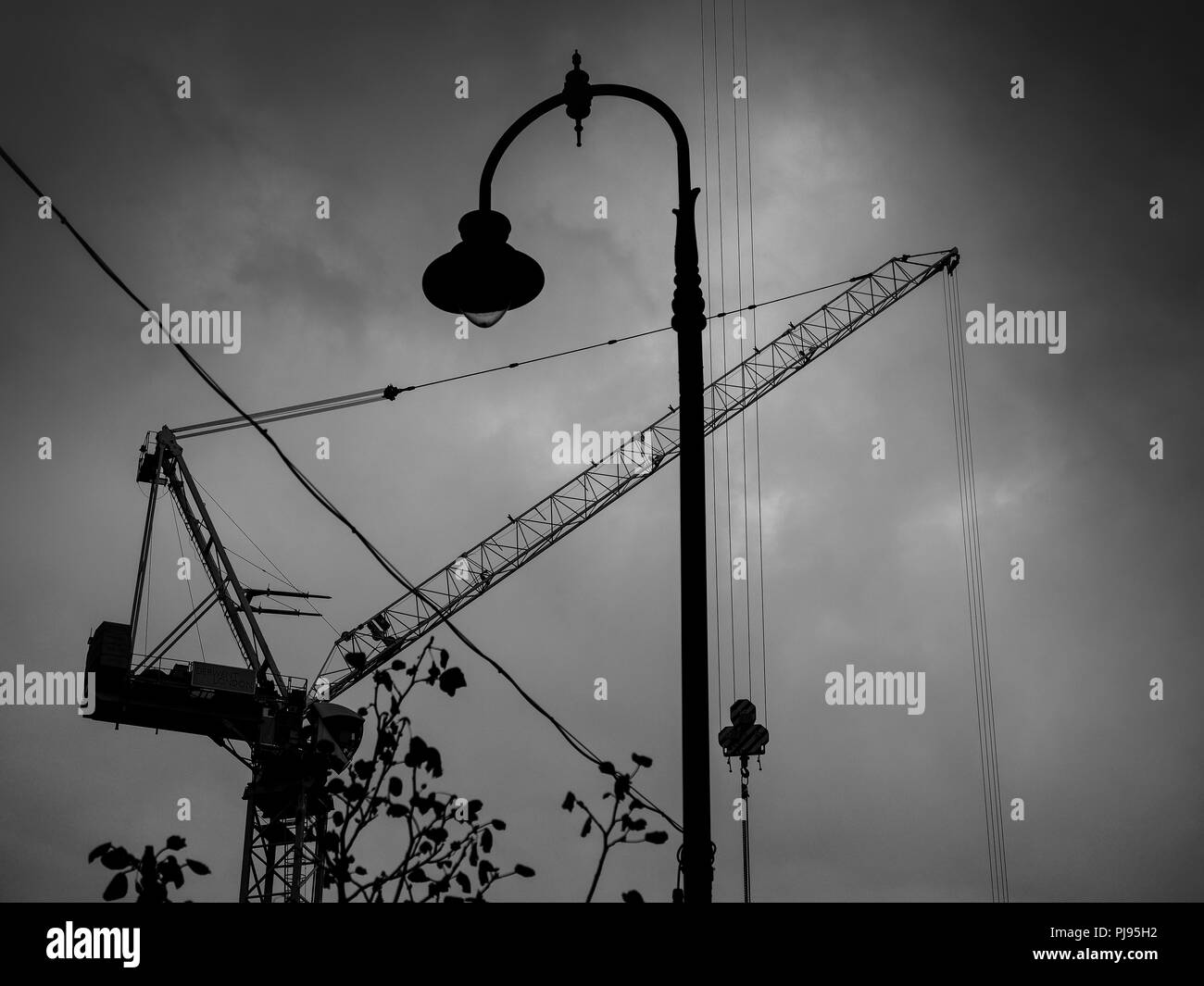 Dark crane Black and White Stock Photos & Images - Alamy
