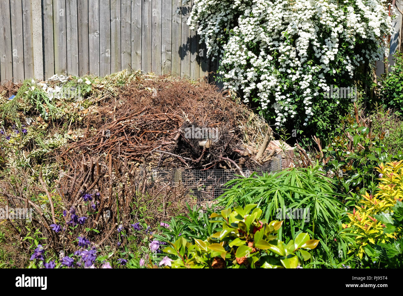 Compost garden flowers hi-res stock photography and images - Alamy