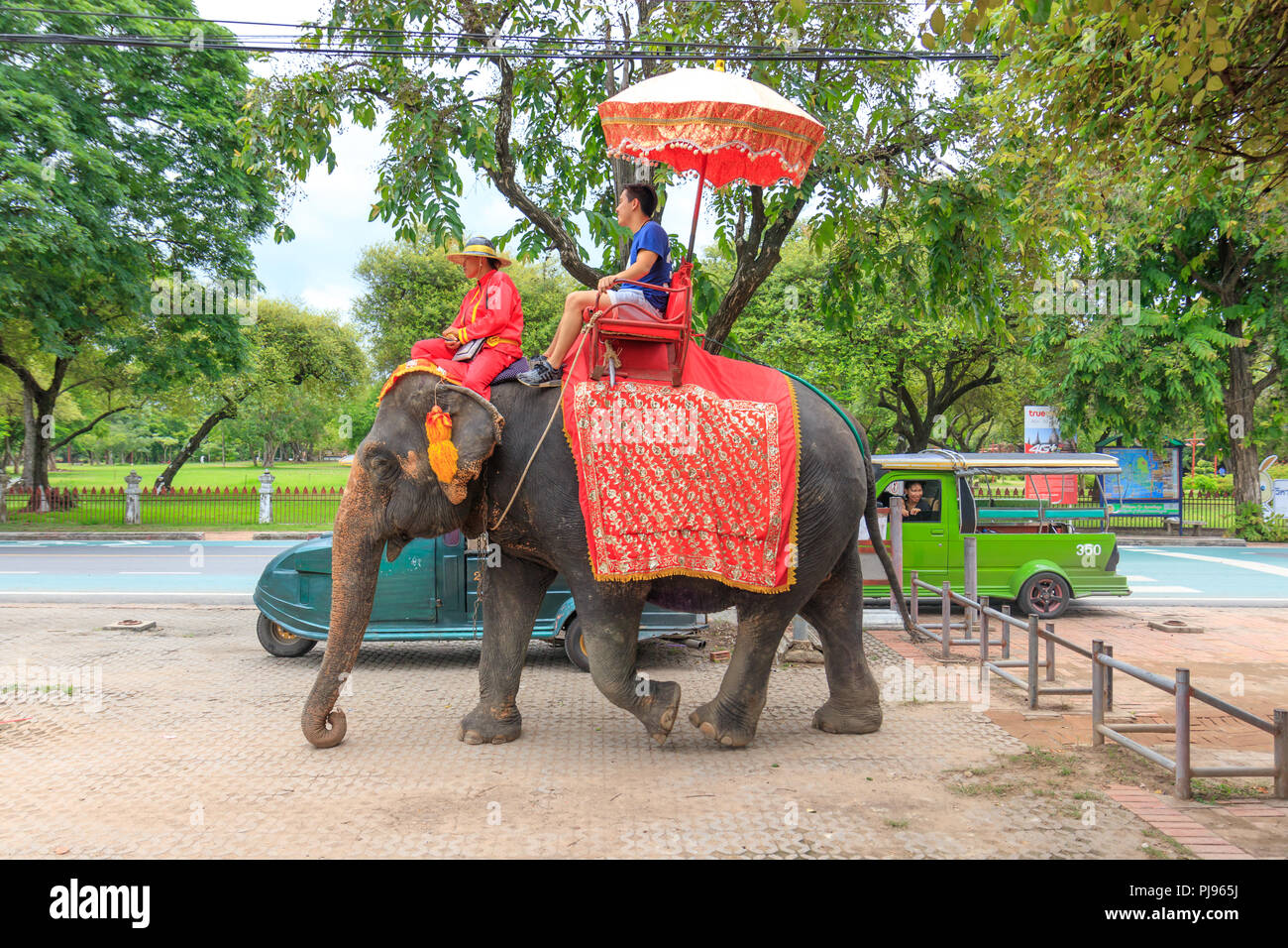 People riding elephant hi-res stock photography and images - Alamy