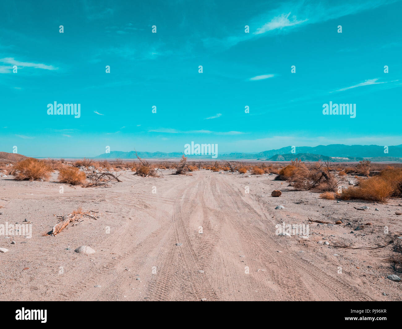 Desert roads and vegetation with dead tree and road sign Stock Photo ...